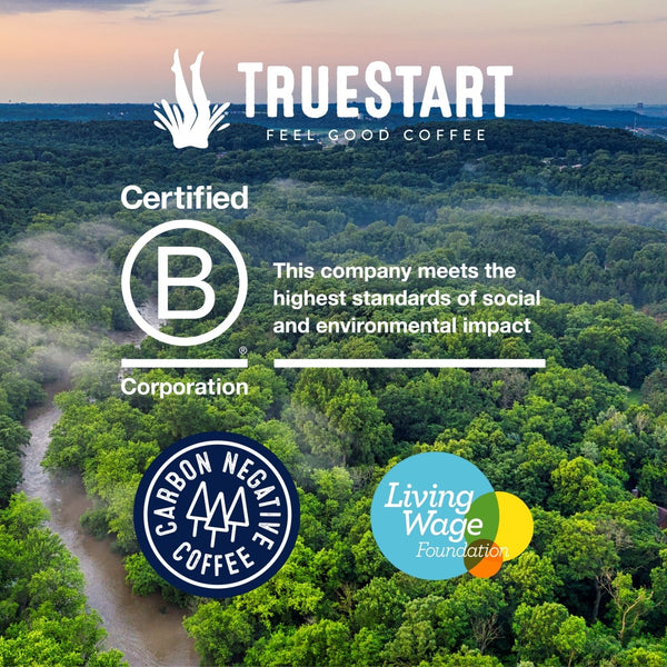 Decaf Instant & Bags Bundle – TrueStart Coffee